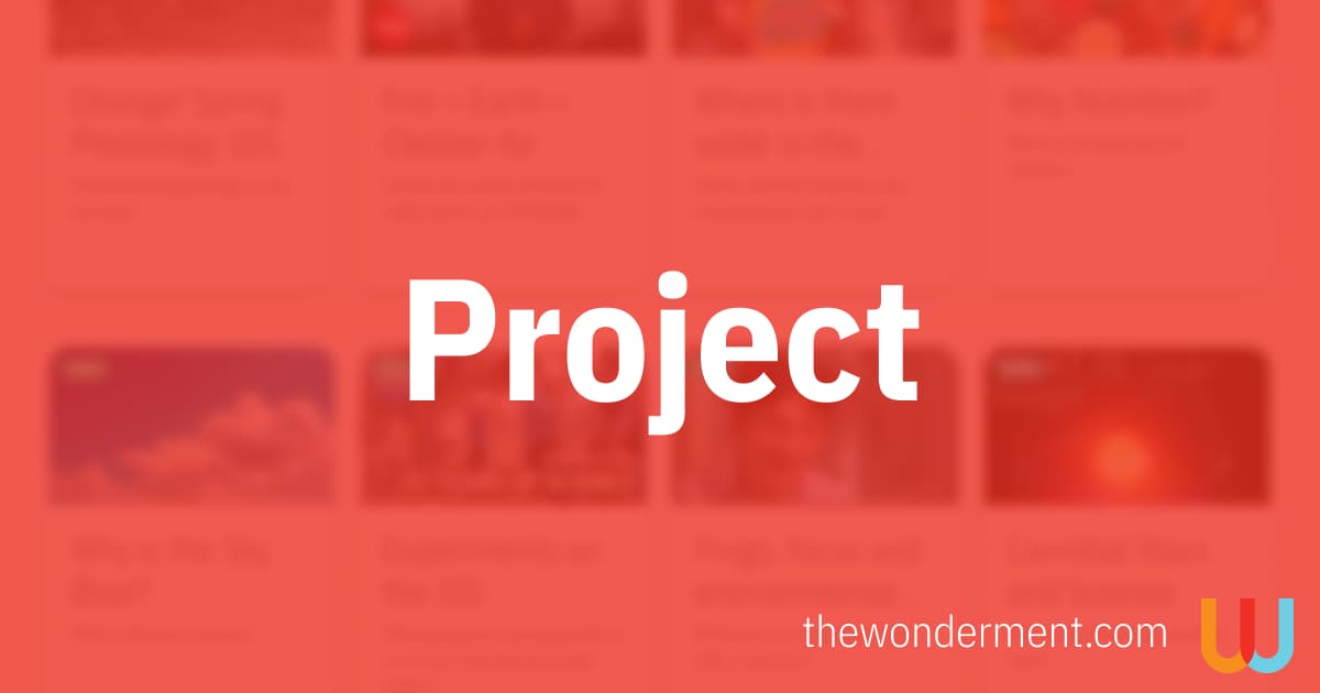 "La Paz 2021 Model United Nations" - Project on The Wonderment